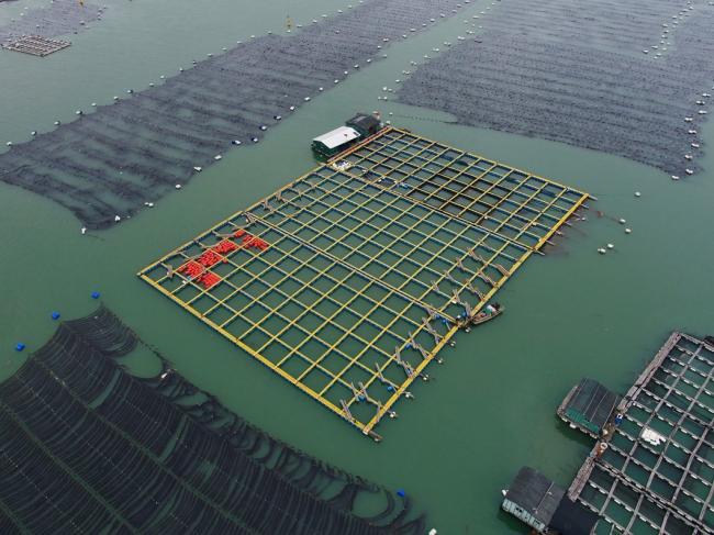2024 Freshwater Fish Culture Pontoon Customized Cage