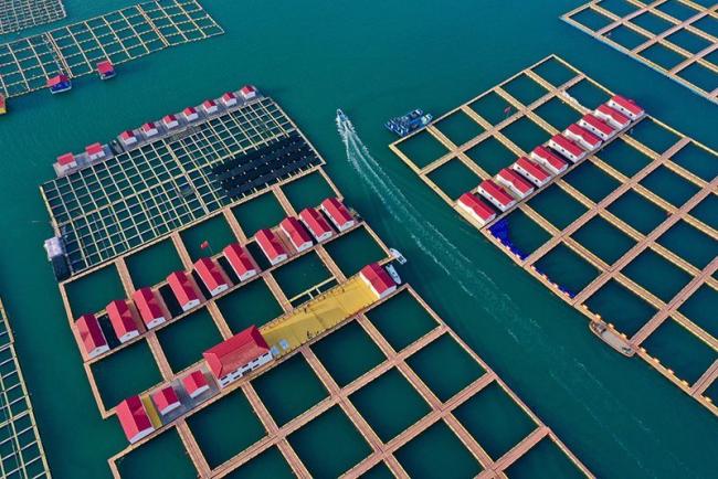 HDPE Deep Sea Aquaculture Leisure Cage Customization