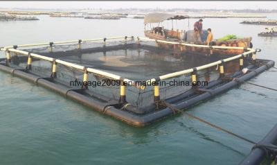 China Tilapia Farming Deep Water Aquaculture Cage For 4sq. M To 200sq. M Fish Cages And Fishing Auxiliary Machinery for sale