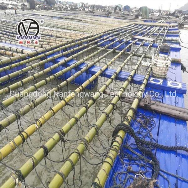 Quality Square Pontoon Aquaculture Fish Cage Customization Diameter 10m - 60m for sale