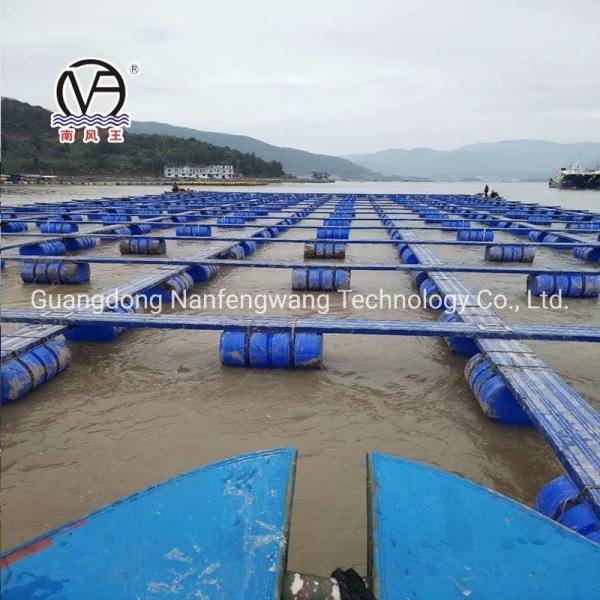 Quality Square Pontoon Aquaculture Fish Cage Customization Diameter 10m - 60m for sale