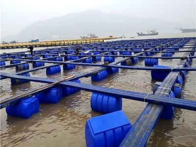 China HDPE Pipe Pontoon Fish Farming Cage 200mm/250mm/450mm/500mm In Lake Or Pond for sale