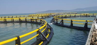 China HDPE Pipe Floating Mariculture Circular Fish Cage With Diameter 6m To 90m for sale