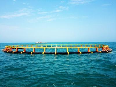 China HDPE Pipe Floating Mariculture Circular Fish Cage With Diameter 6m To 90m for sale