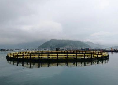 China HDPE Freshwater Lake Circular Fish Cage Black And Yellow For Farming Machinery for sale