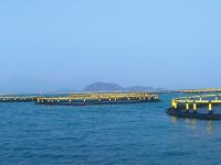China HDPE Circular Fish Farming Cage with PE Brackets - 15+ Year Lifespan, Typhoon Resistance to Grade 12 for sale