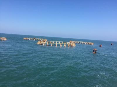 China Lake / Sea Aquaculture Fish Cage Floating with Diameter 10m - 60m for sale