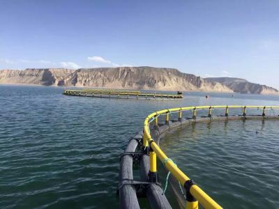 China Customized Circular Fish Cage Black And Yellow Green For Reservoir Culture for sale