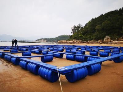 China Large Plastic Floating Fishing Platform For Fishery Breeding Pontoons for sale