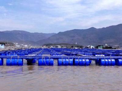 China Large Plastic Floating Fishing Platform For Fishery Breeding Pontoons for sale