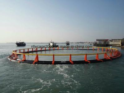 China HDPE Aquaculture Fish Farming Cage Anti Wind Diameter 10m - 50m for sale