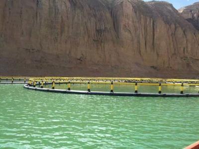 China Farming Machinery Simple Circular Cage for Aquaculture of Lake Fishermen 1 Year After-sales Service for sale