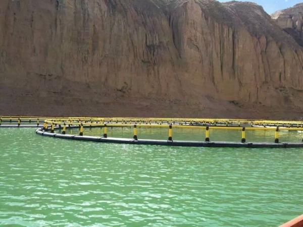 Quality Fresh Water Fish Farming Cage Diameter 10m - 60m For Pond for sale