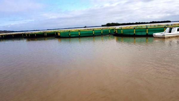 Quality Fresh Water Fish Farming Cage Diameter 10m - 60m For Pond for sale