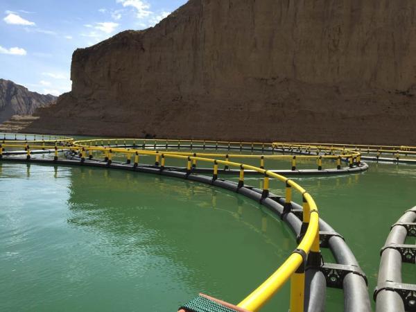 Quality Fresh Water Fish Farming Cage Diameter 10m - 60m For Pond for sale