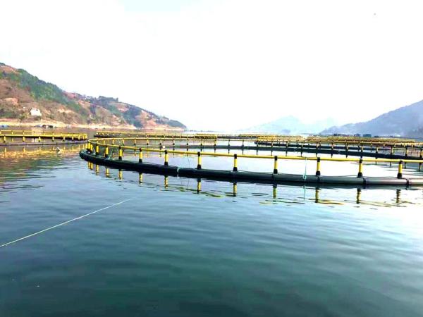 Quality Fresh Water Fish Farming Cage Diameter 10m - 60m For Pond for sale