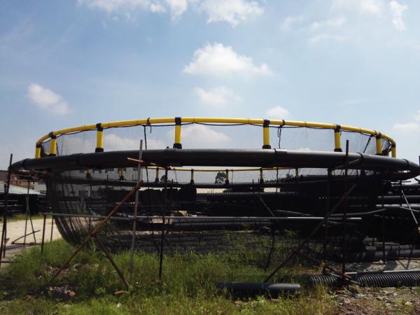 Quality HDPE Pipe Circular Fish Cage For Fresh Water Fish Farming In Pond And Lake for sale