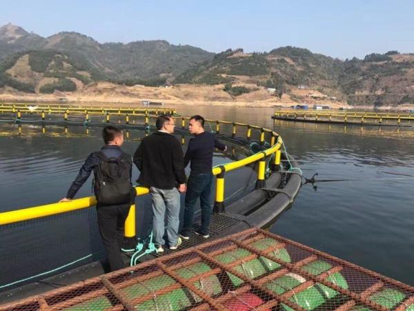 Quality HDPE Pipe Circular Fish Cage For Fresh Water Fish Farming In Pond And Lake for sale