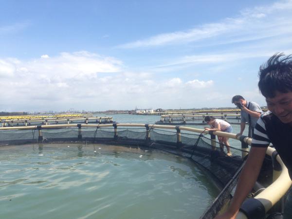 Quality HDPE Pipe Circular Fish Cage For Fresh Water Fish Farming In Pond And Lake for sale