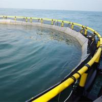 China HDPE Floating Net Cage for Aquaculture - 15+ Year Lifespan, 12-Grade Typhoon Resistance, 200mm-400mm Pipe Diameter for sale