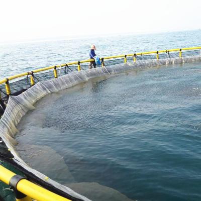 China Sea HDPE Fish Cage Anti Wind For Processing And Trawling Method for sale