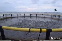 China HDPE Sea Fish Cage 30m-150m Circumference Anti Wind Offshore Aquaculture for sale