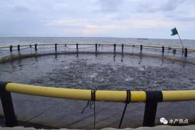 China Sea HDPE Fish Cage Anti Wind For Processing And Trawling Method for sale