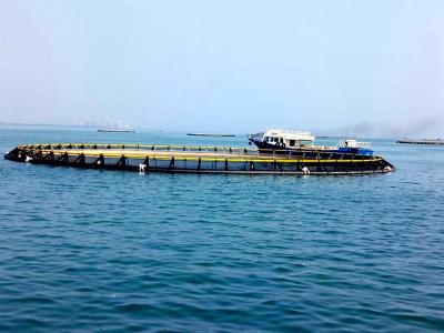 China Round HDPE Floating Fish Cage Trap For Sea Fish Farming In High Demand for sale