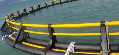China Round HDPE Floating Fish Cage Trap For Sea Fish Farming In High Demand for sale