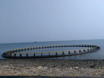 China Round HDPE Floating Fish Cage Trap For Sea Fish Farming In High Demand for sale