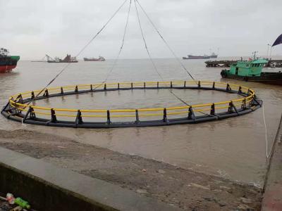China Large Scale Deep Sea Round Fish HDPE Cage Equipment Anti Wind and Wave for sale