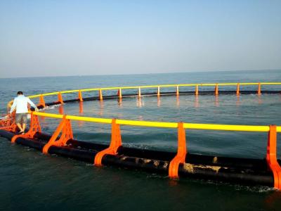China Magic Fishing Cast Fishing Net Cage Current Resistant With HDPE Pipe for sale