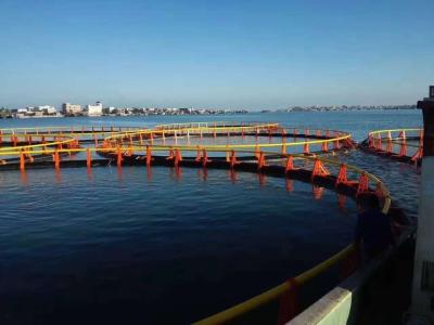 China Shrimp Farming Aquaculture Cage Equipment With Diameter 10m 60m for sale