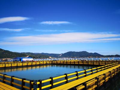 China Nangfengwang Large Plastic Fishing Platform Floats for Fishery Breeding Pontoons and Support Payments in USD for sale