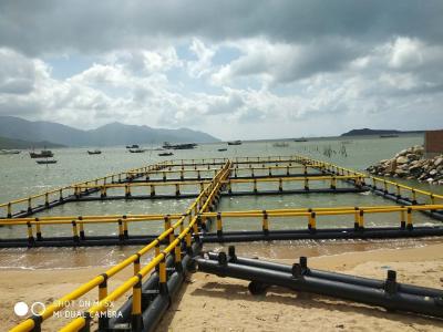 China Floating Fish Cages for Tilapia Support payments in USD and 1 Year After-sales Service for sale