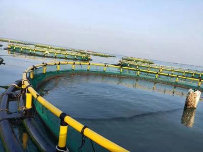 China Sustainable Seafood Production Fish Farming Cages with HDPE Pipe for sale