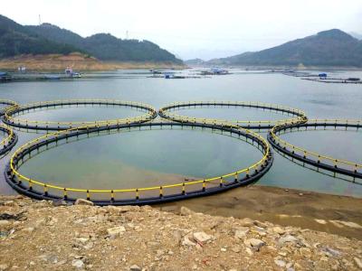 China Sustainable Seafood Production Fish Farming Cages with HDPE Pipe for sale