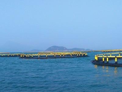 China Sustainable Seafood Production Fish Farming Cages with HDPE Pipe for sale