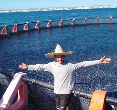 China USD Payment Supported HDPE Triangular Brackets Fish Cage for Open Sea in Triangular Design for sale