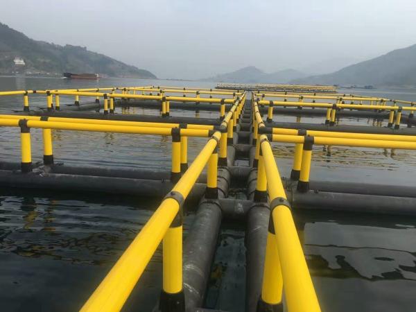 Quality Square Aquaculture Fish Cage 6X6m Floating Pipe 200mm/500mm For Lake And River for sale