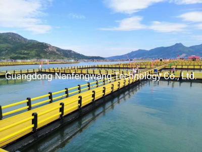 China Ocean Lake Floating Leisure Cage Platform and Walkway Delivery Detail Two Weeks After Receiving Deposit for sale