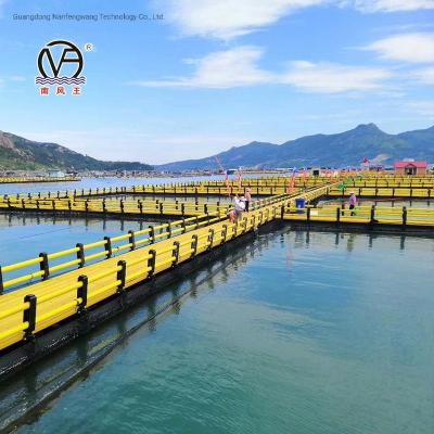 China Deep Sea Aquaculture Marine Fish Net Cage For Farming Machinery for sale