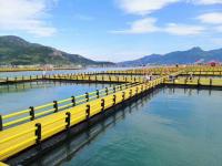 Quality HDPE Plastic Floating Fish Farming Cage For Tilapia Fish Breeding for sale