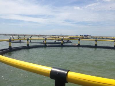 China HDPE Fish Farming Floating Cage 10m-50m Diameter 200mm-400mm Pipe for sale
