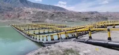 China HDPE Fish Cage 10m-50m Diameter for Lake Farming for sale