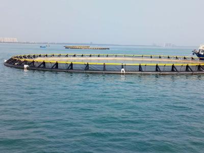 China High-Strength & Anti-Corrosion, Circular Fish Cage With HDPE 315mm Bracket For Stable Deep-Water Aquaculture In Lakes, Delivery In Two Weeks After Deposit Received for sale