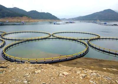 China High Strength HDPE Anti-Wave Deep Sea Fish Cage For Mariculture for sale