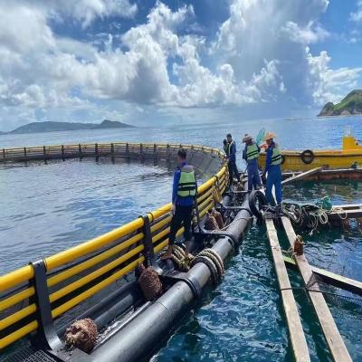 China Round Aquaculture Cage Integral Injection Molding HDPE Solid Frame High Durability Wind Resistant for Marine Farming for sale