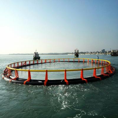 China HDPE Fish Cage Floating Platform Integrated Molding Seamless Frame Anti Aging Impact Resistant For Offshore Breeding for sale
