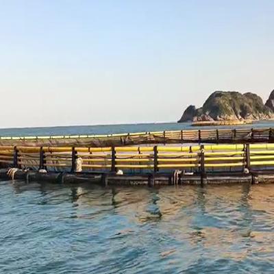 China Freshwater Fish Cage Floating Platform Integrated Molding Seamless Frame Anti Aging Corrosion Resistant For Pond Lake Aquaculture for sale